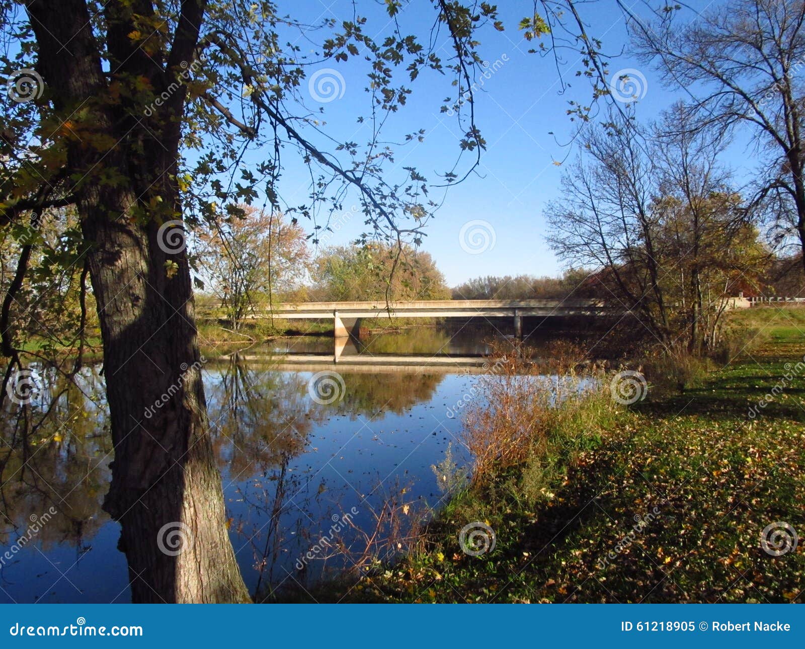 River with Reflection by a Bridge Stock Image - Image of rural, bridge ...