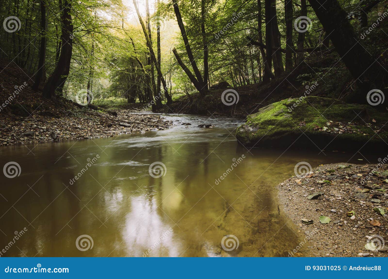 River reflection in forest stock image. Image of leaf - 93031025