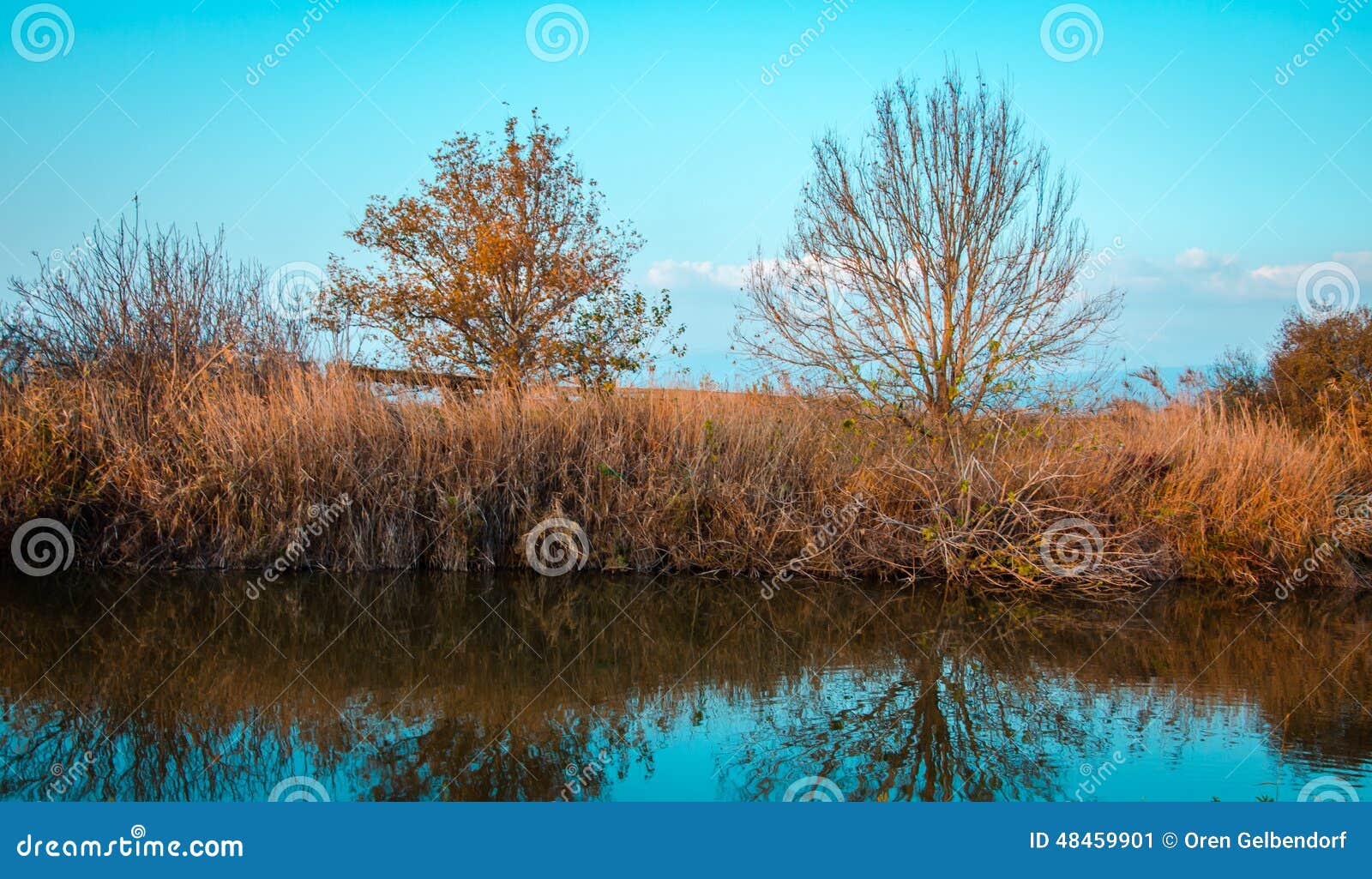 River reflection stock image. Image of bright, golden - 48459901