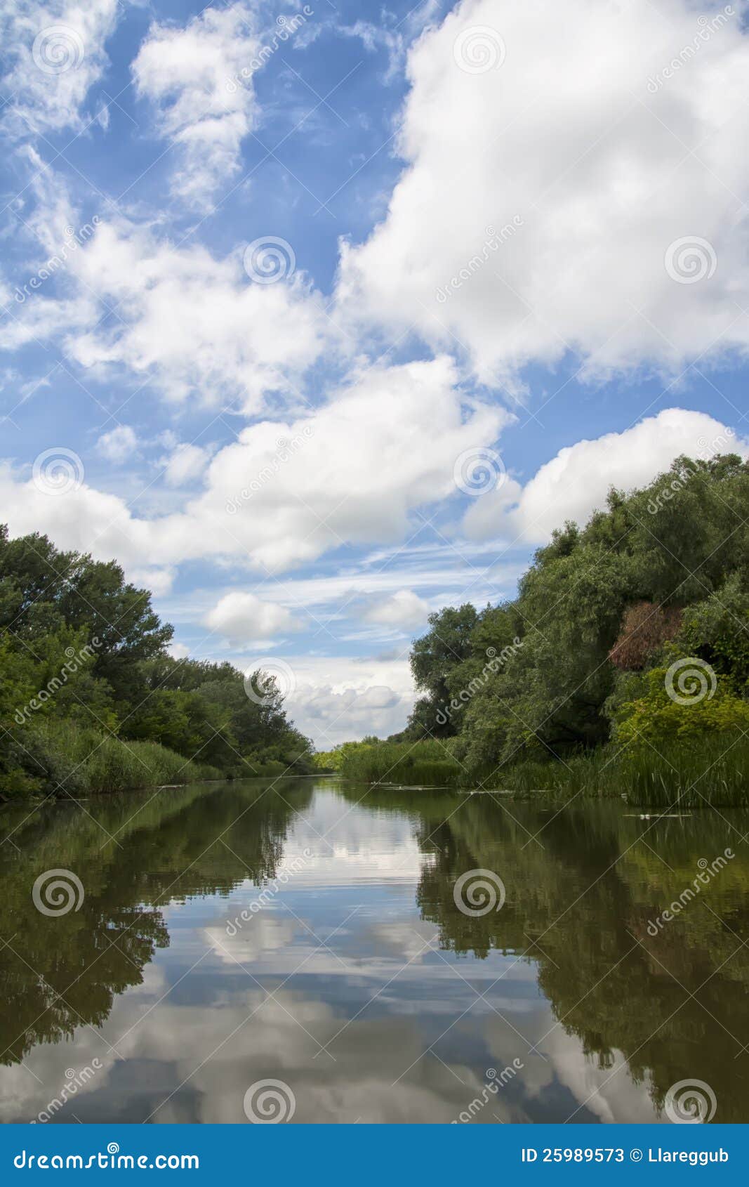 River Reflections stock image. Image of fauna, europe - 25989573
