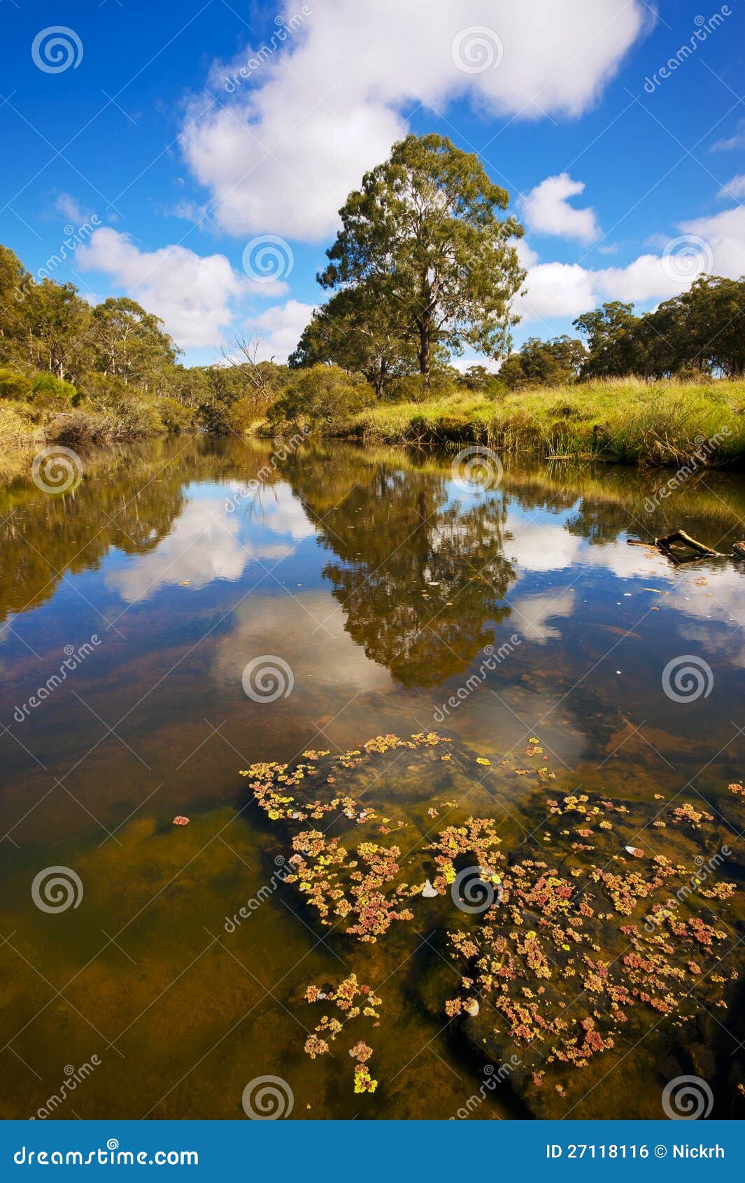 River Reflections stock photo. Image of calm, environmental - 27118116