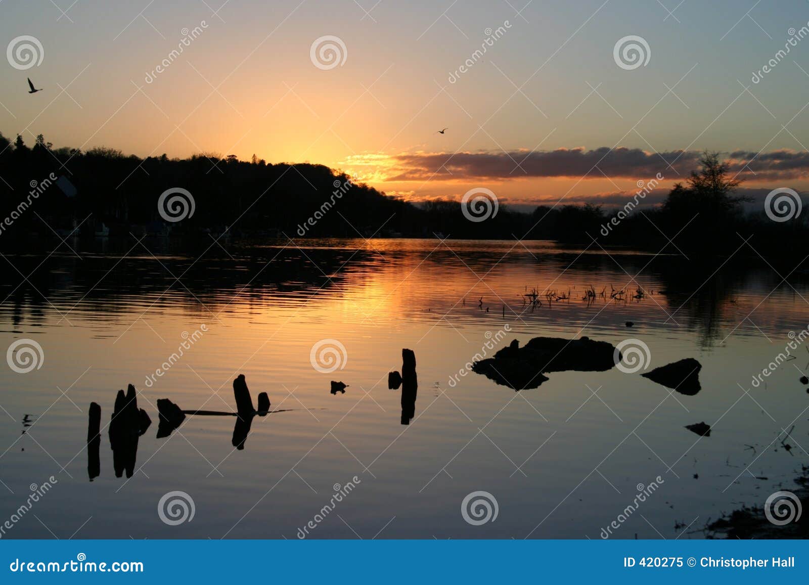 River Reflections 3 stock image. Image of natural, outdoors - 420275