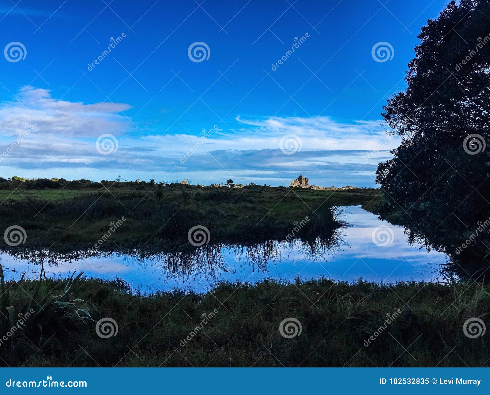 River reflections stock image. Image of beautiful, life - 102532835
