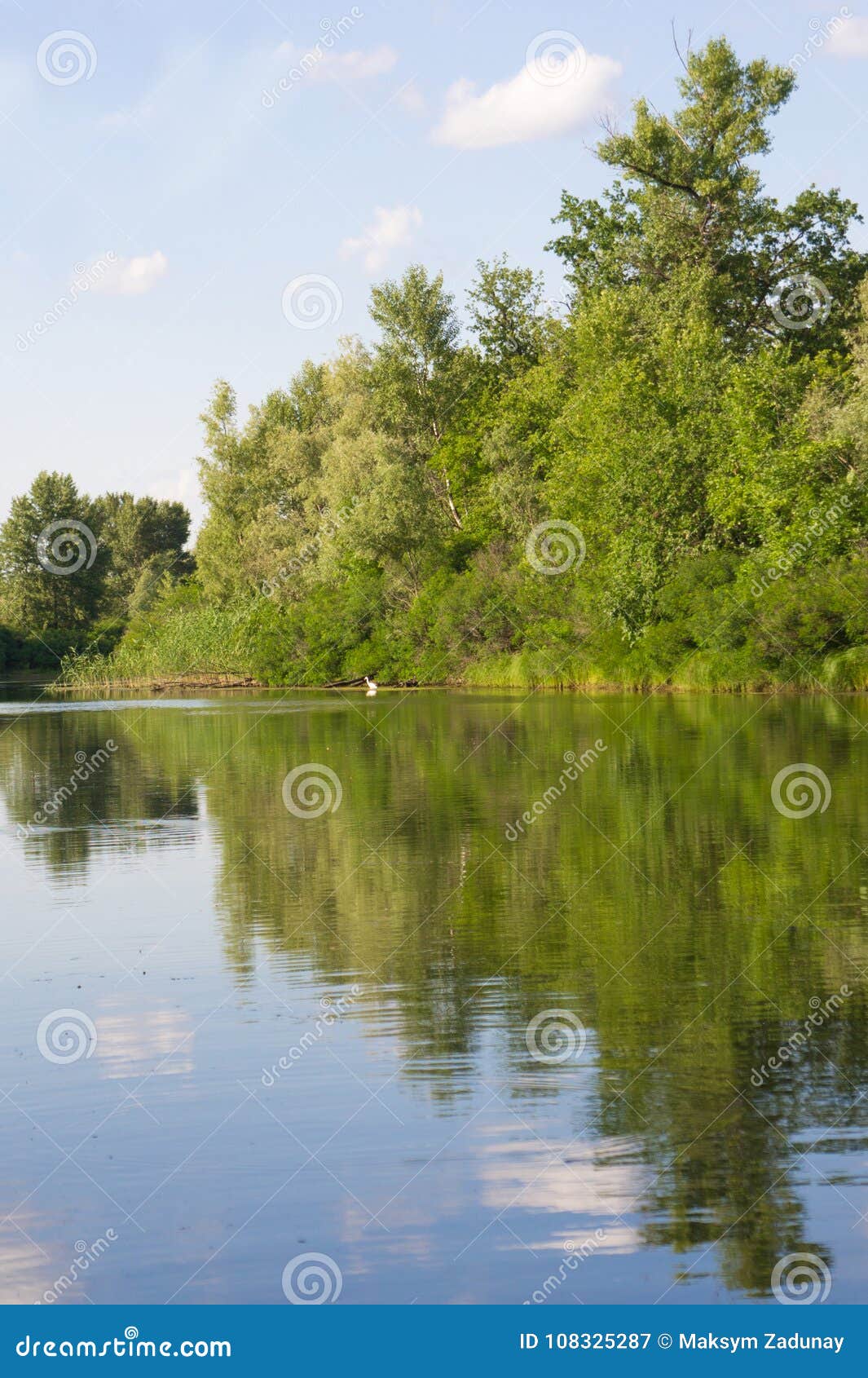 Rest on the River in Summer Stock Image - Image of clean, tree: 108325287