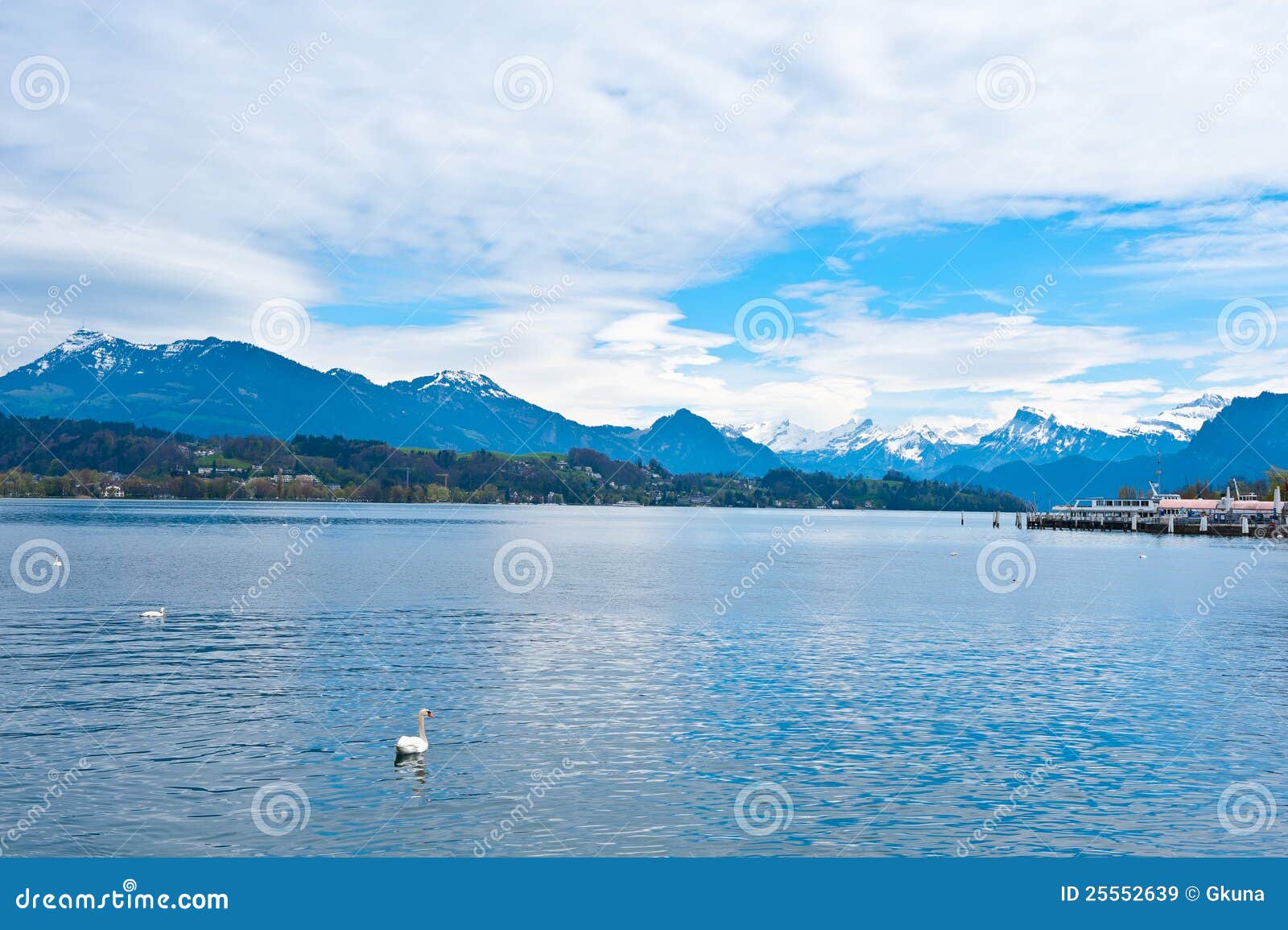 River Reuss stock image. Image of animal, river, clouds - 25552639
