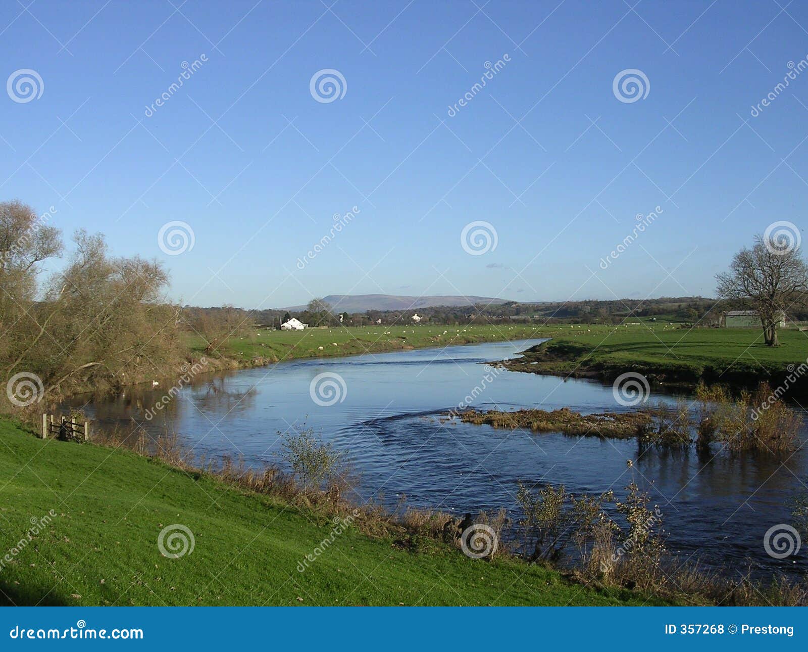 River Ribble at Ribchester. Stock Photo - Image of farmland, lancashire ...