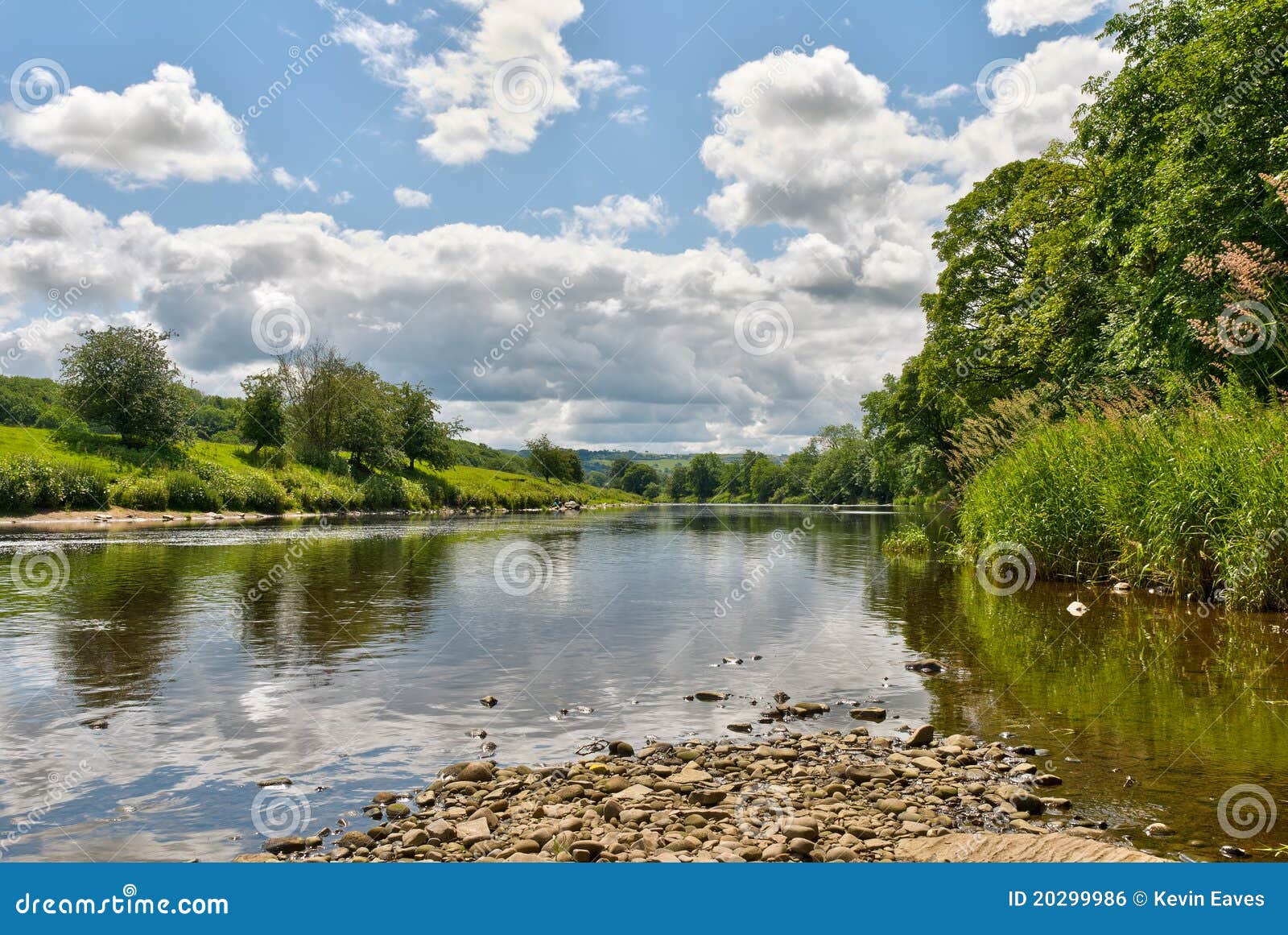 River Ribble scenic stock photo. Image of riverside, scene - 20299986