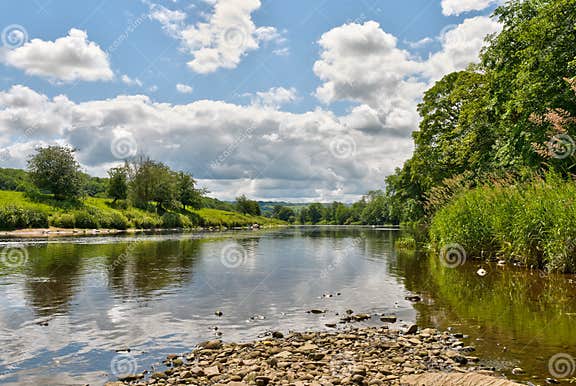 River Ribble scenic stock photo. Image of riverside, scene - 20299986