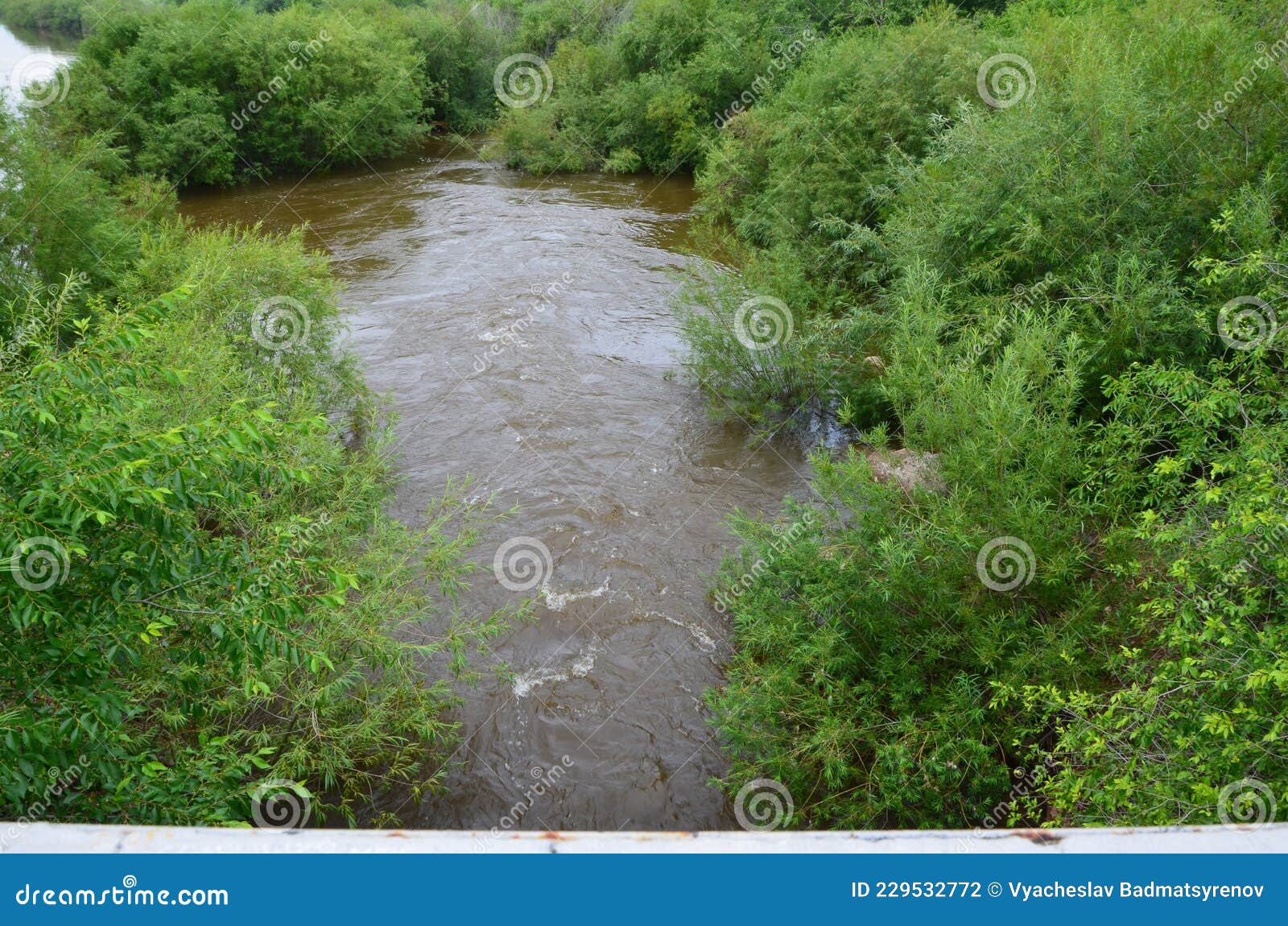 A river with ripples stock photo. Image of nature, bushes - 229532772