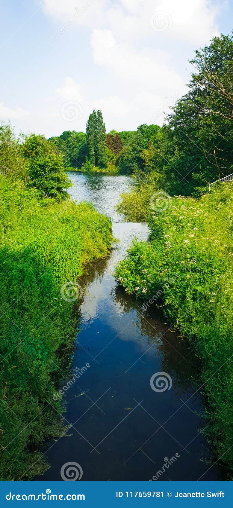 River stock image. Image of kent, water, chipstead, nature - 117659781