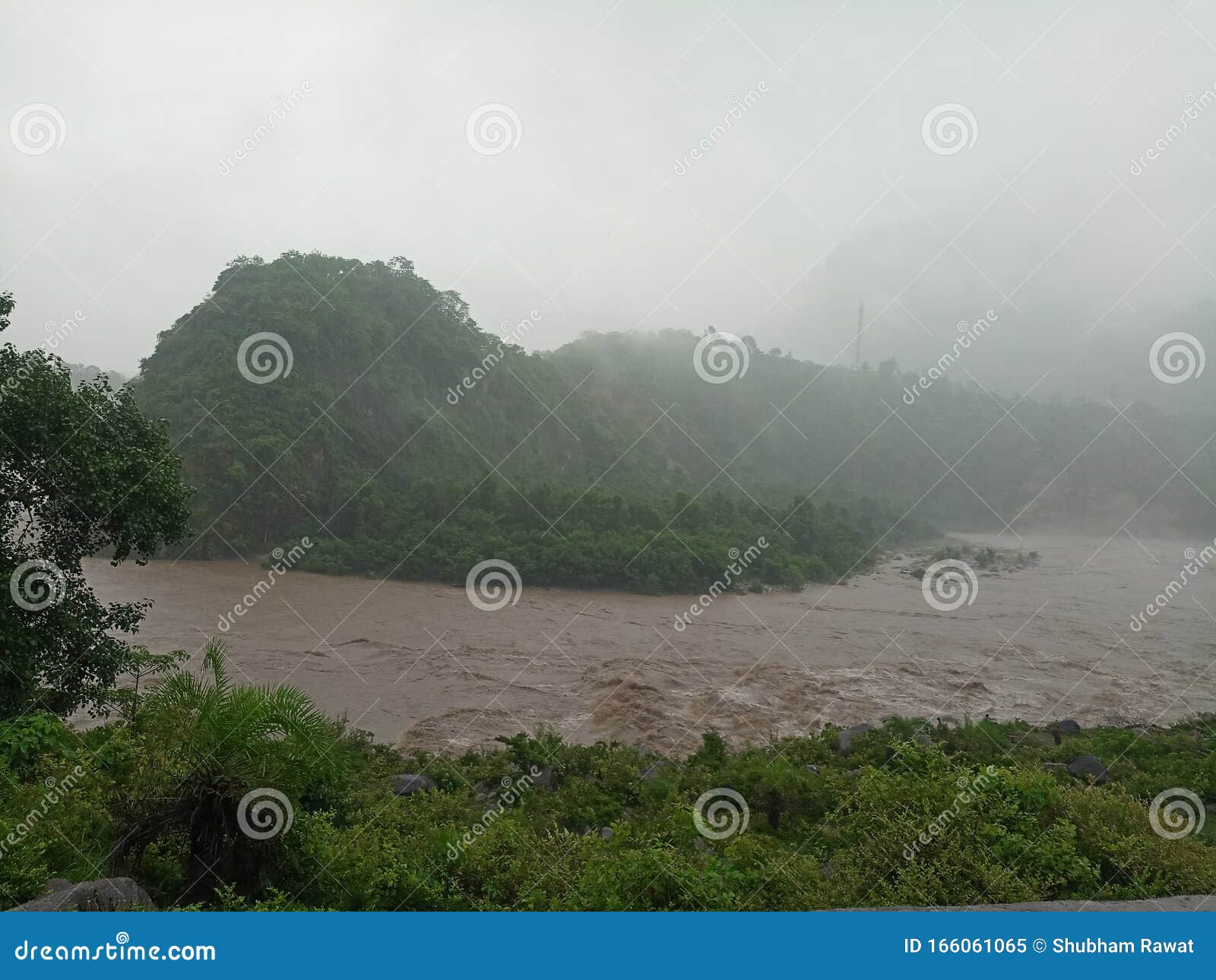 River stock image. Image of forest, land, environment - 166061065