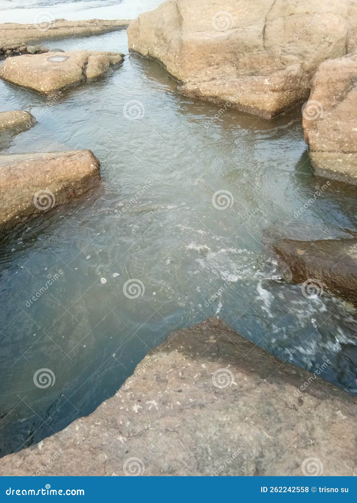 River and rock stock photo. Image of wadi, river, wave - 262242558