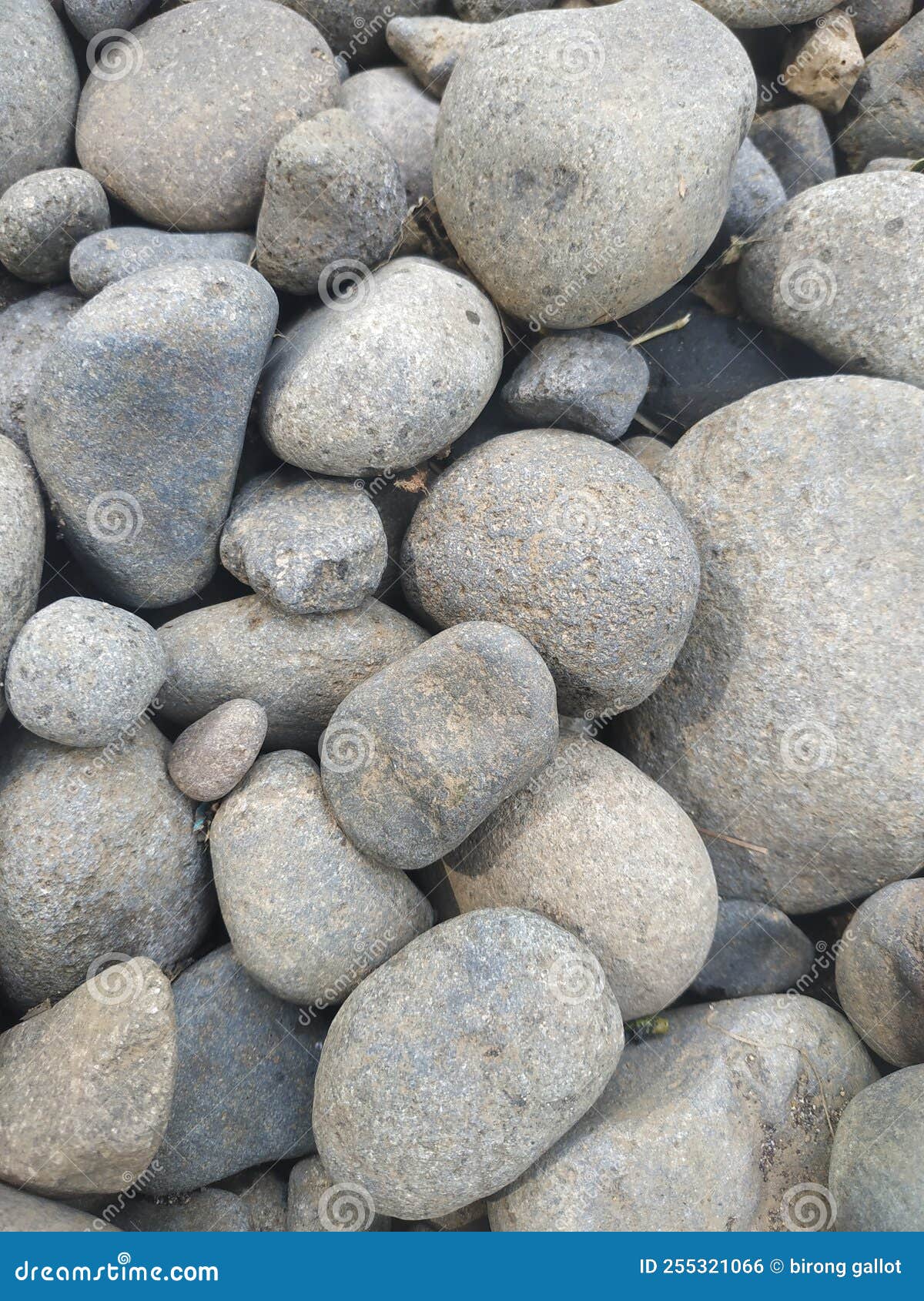 River rock collection stock photo. Image of river, collection - 255321066