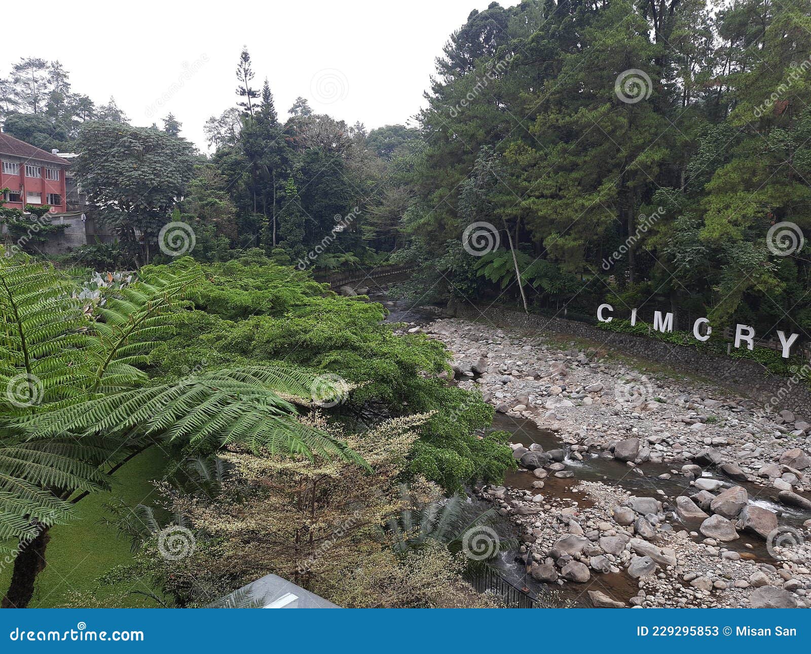 River with Rock. River Rock in Green Forest at Summertime Nature Stock ...