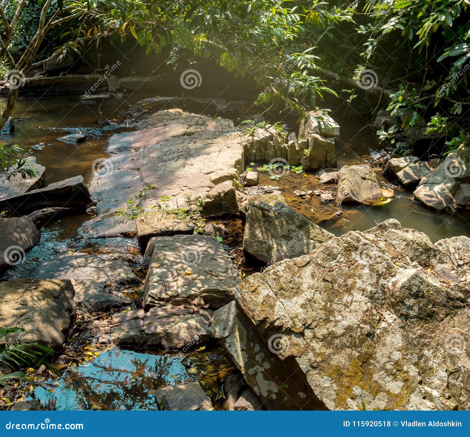 River in Rock with Jungle Sunrays Stock Photo - Image of jungle, green ...