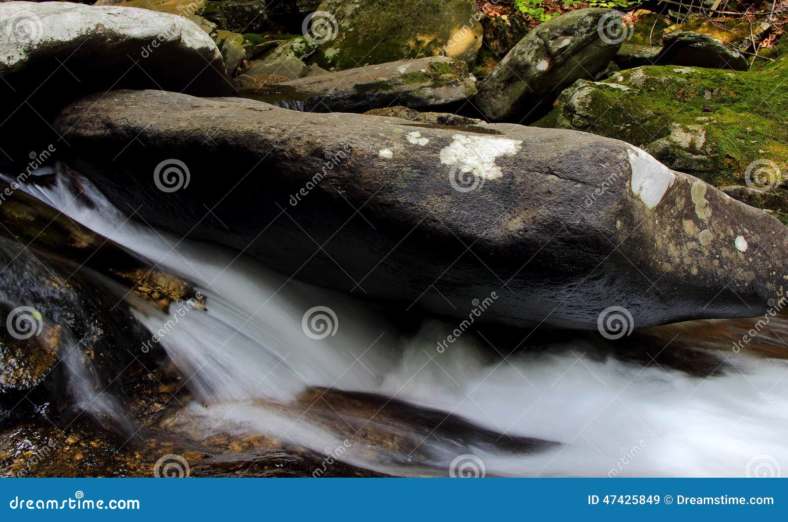 River rock stock image. Image of light, backwoods, breeze - 47425849