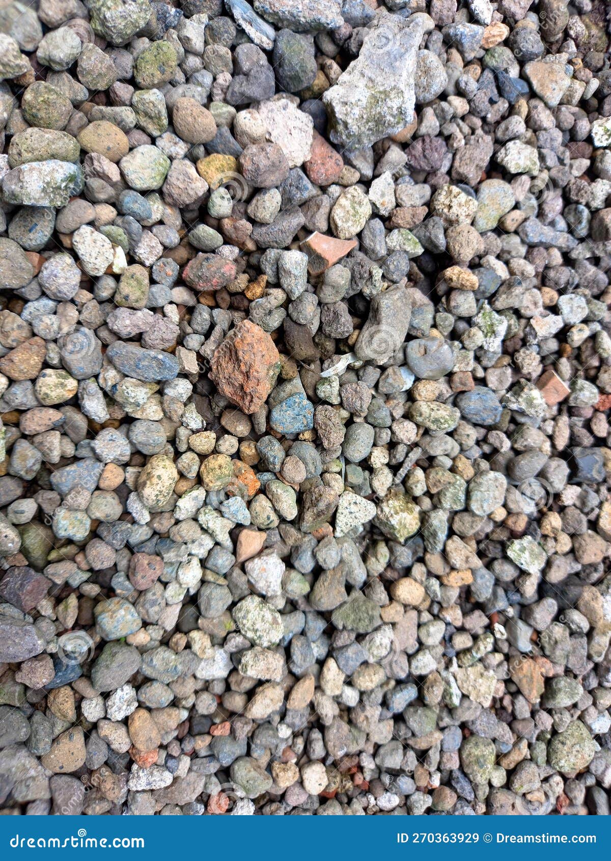 River Rock Portraits in the Backyard Stock Image - Image of bedrock ...