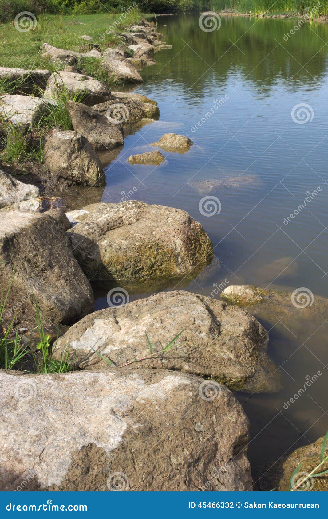 River Rock Stone Water Grass Forest Nature Stock Photo - Image of clear ...