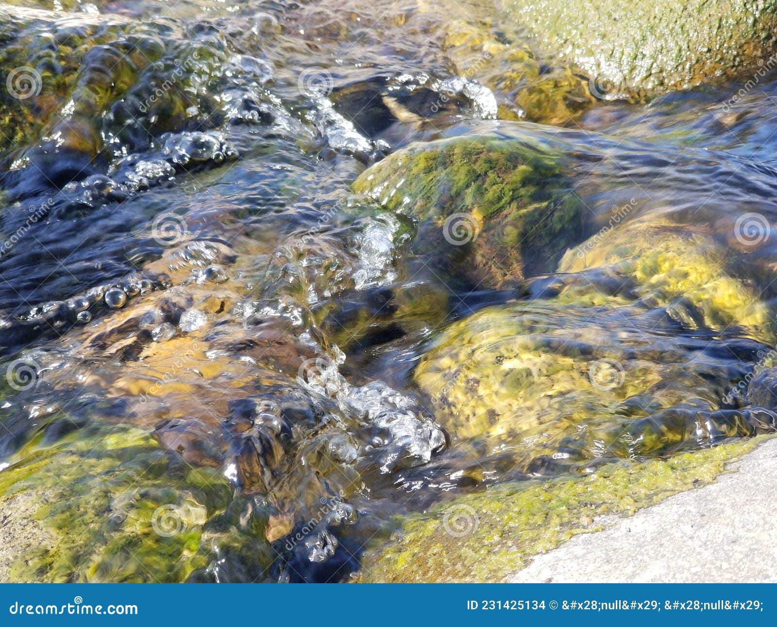 River rock stream nature stock photo. Image of rock - 231425134