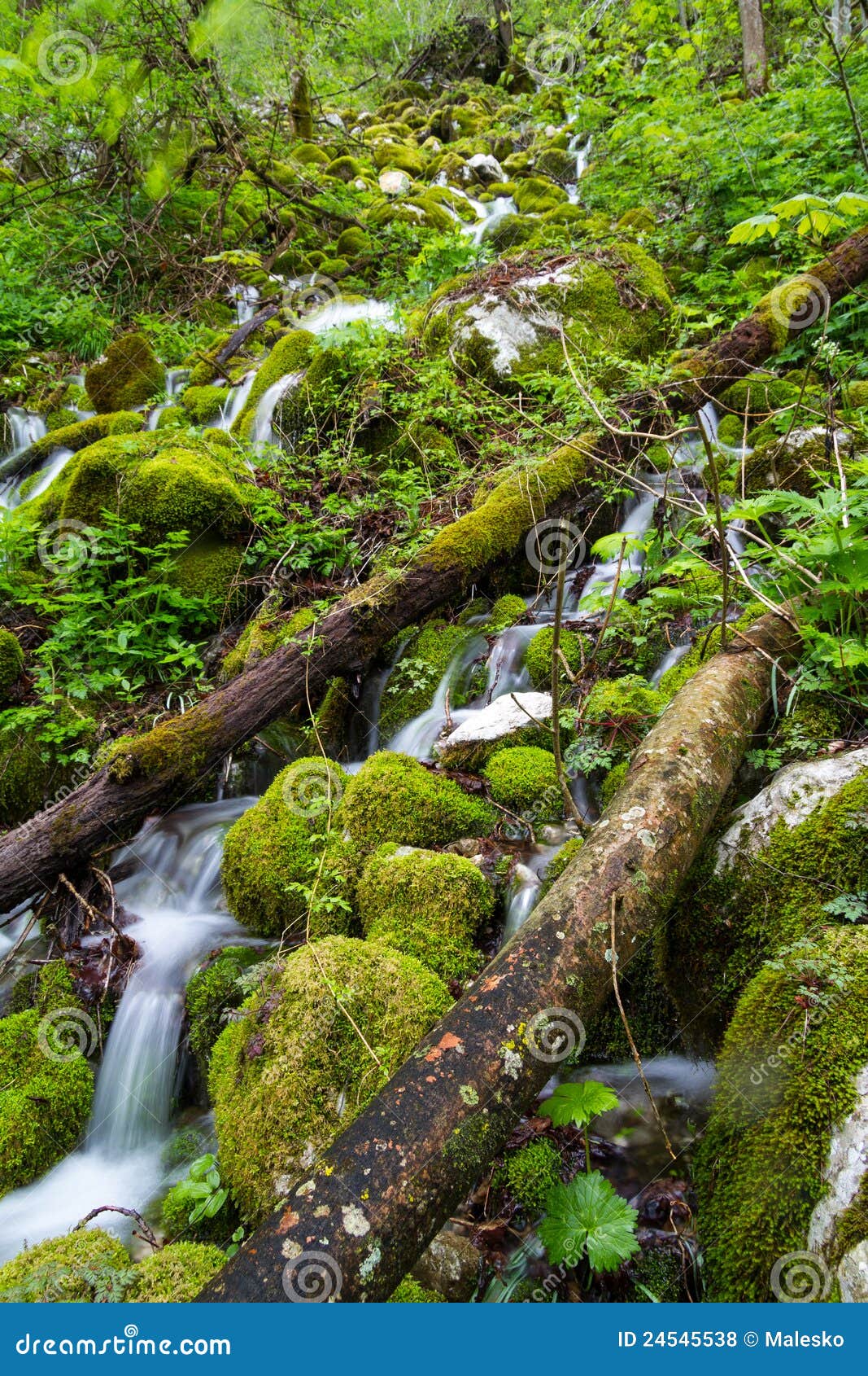 River and rocks stock photo. Image of scene, river, stream - 24545538