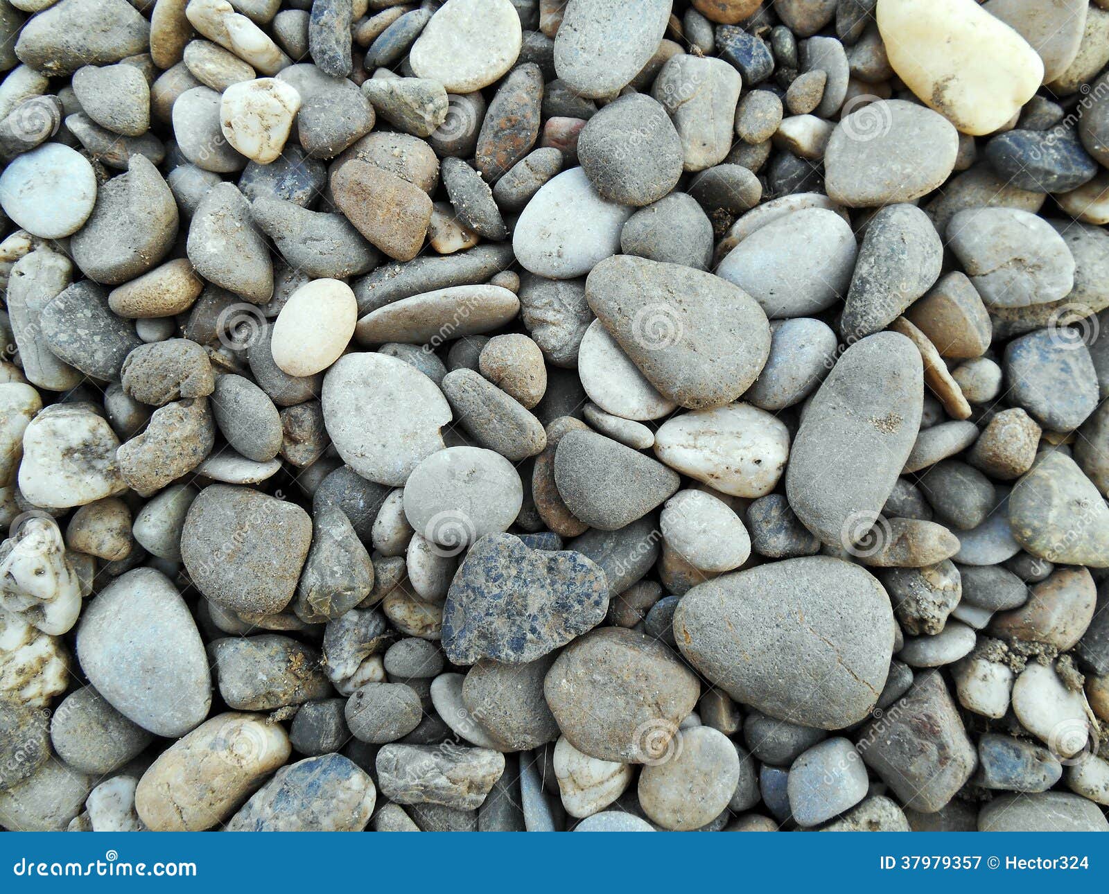 River Rocks stock image. Image of macro, curve, shape - 37979357