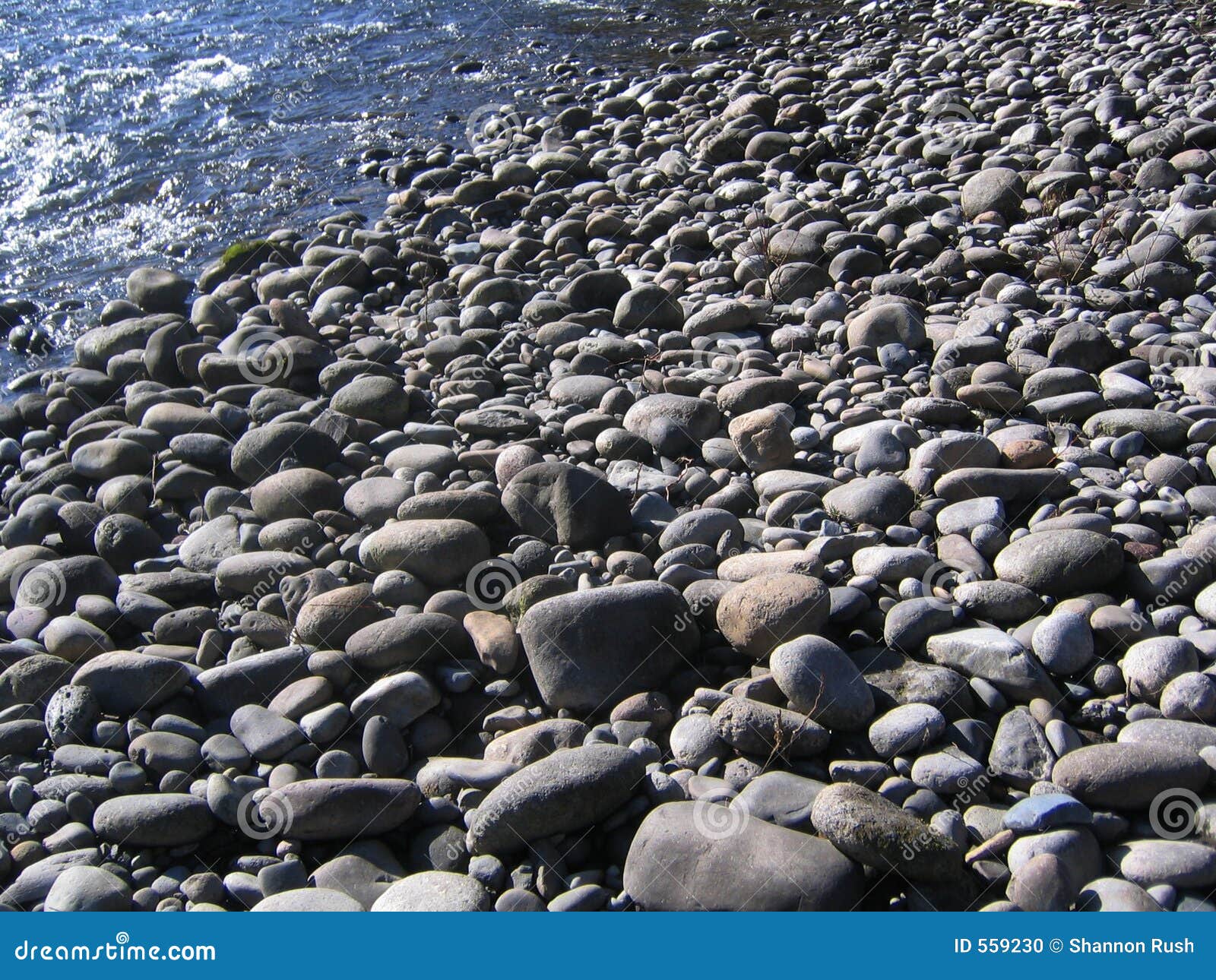 River Rocks stock photo. Image of stream, cobblestone, water - 559230