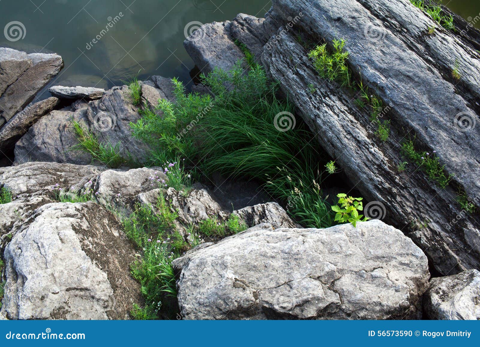 River rocks background stock photo. Image of outdoors - 56573590