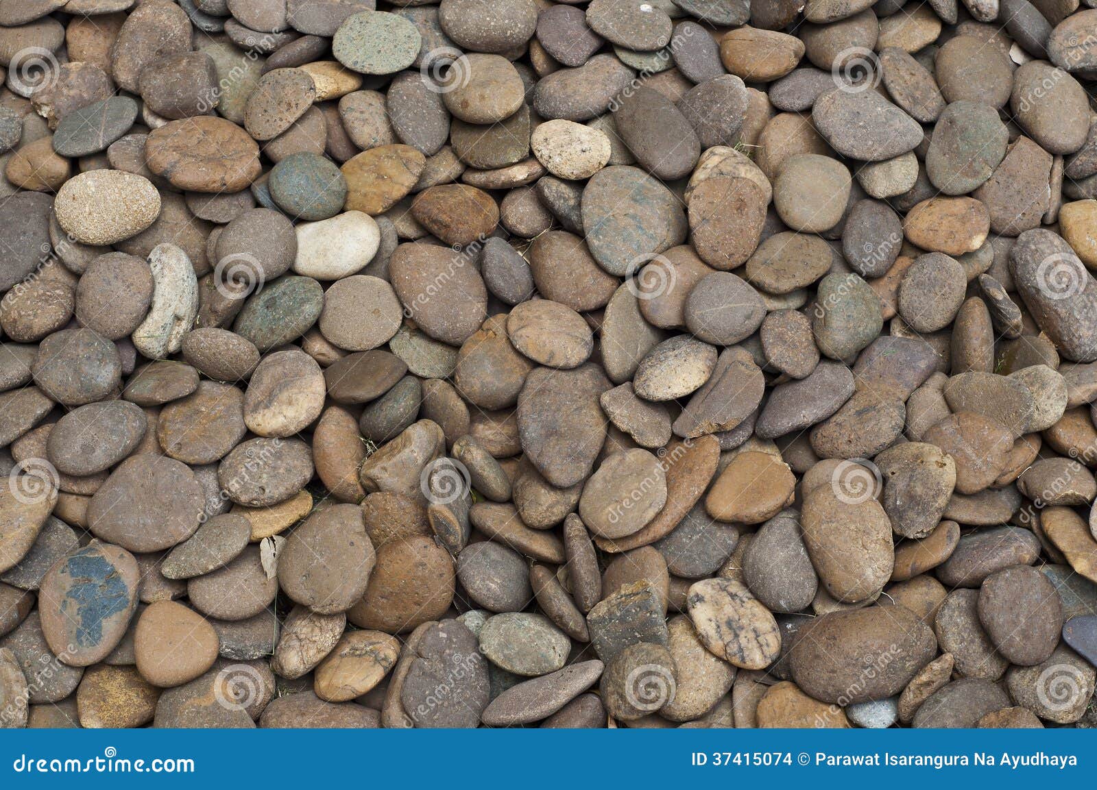 River rocks. stock photo. Image of nature, home, garden - 37415074