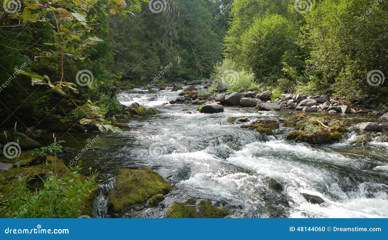 River rocks stock photo. Image of rocks, beautiful, river - 48144060