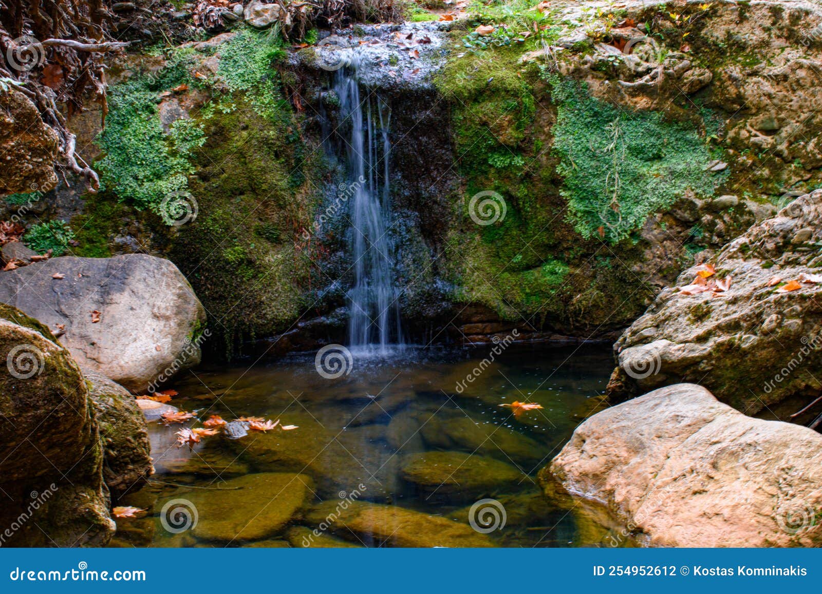 River with Rocks Inside the Forrest Stock Photo - Image of inside ...