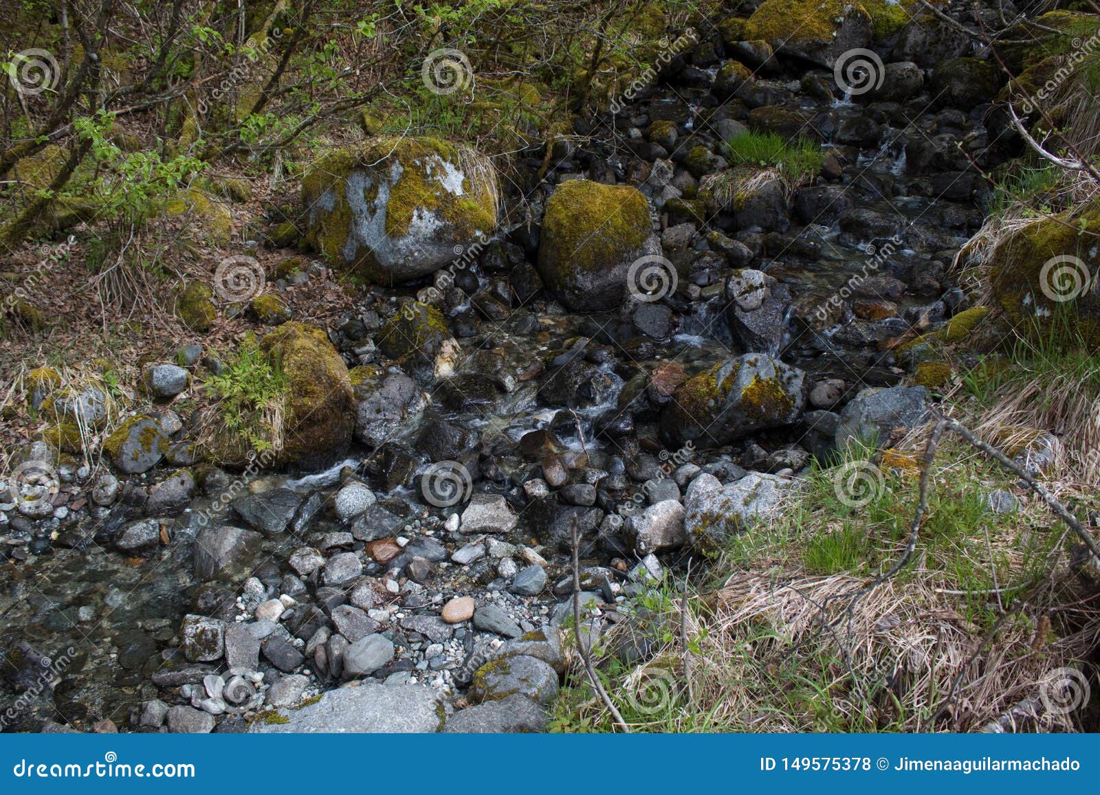 River Rocks with Moss and Stream Stock Photo - Image of outdoor, tide ...