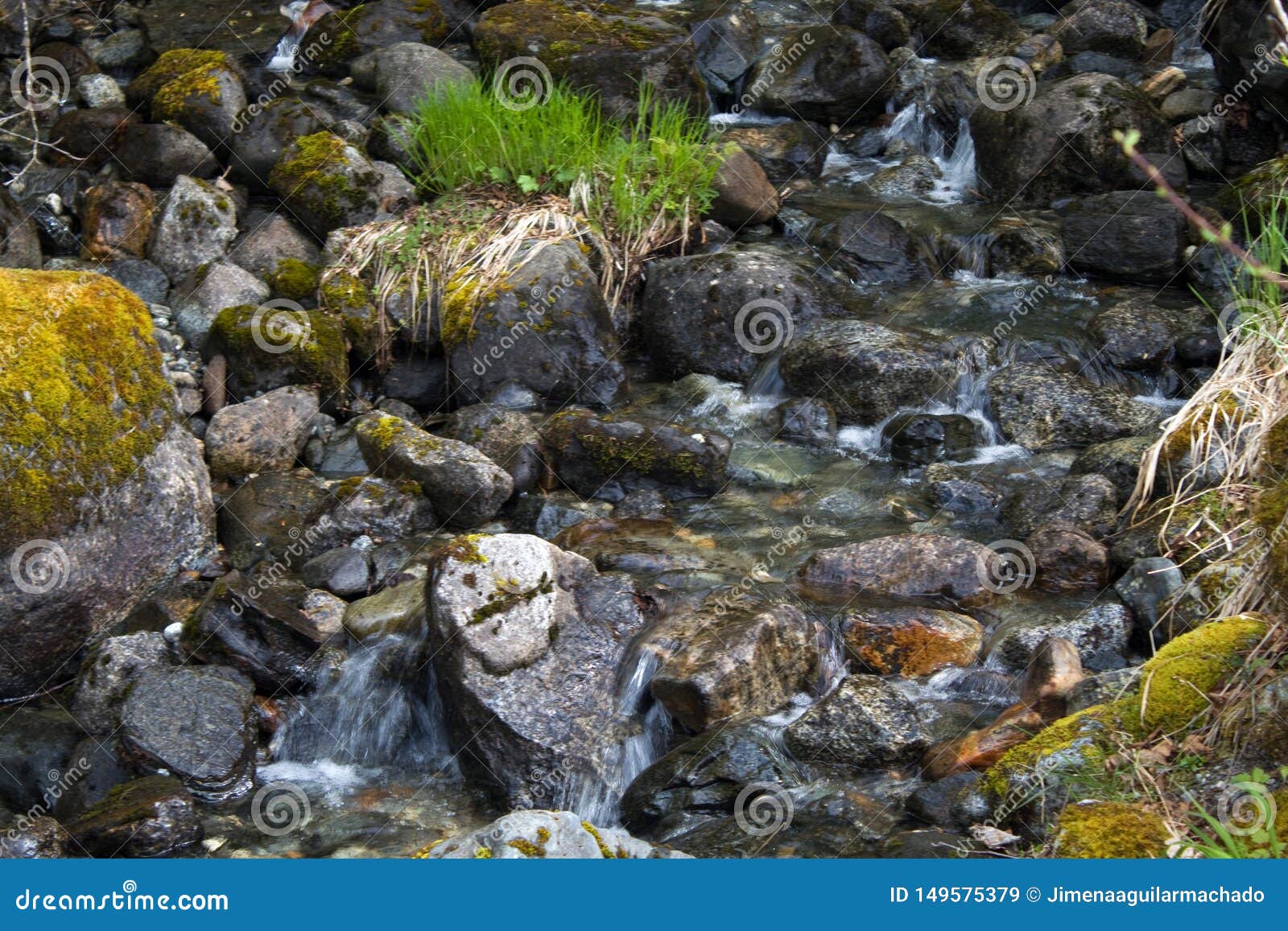 River Rocks with Moss and Stream Stock Image - Image of natural, fraser ...