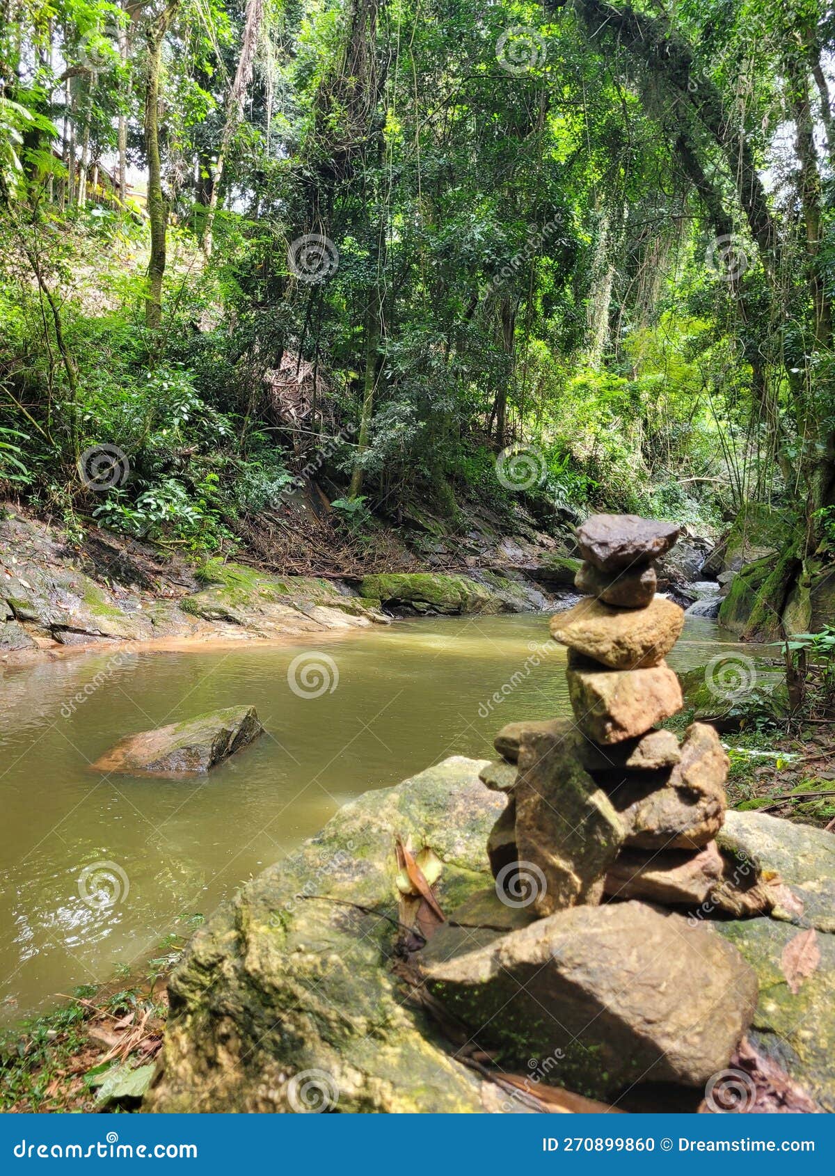 River Rocks Nature Green Watterfall Stock Photo - Image of nature ...