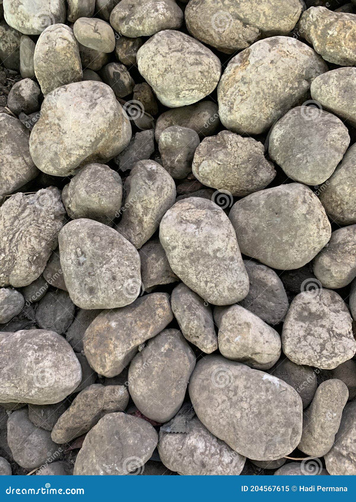 River rocks stock image. Image of river, pile, stones - 204567615