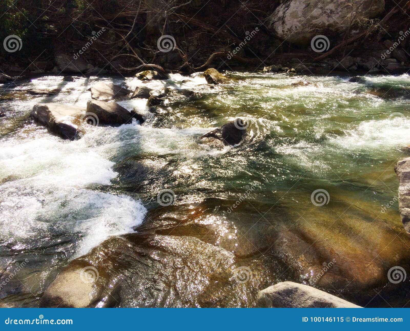 River stock image. Image of carolina, water, riverrocks - 100146115