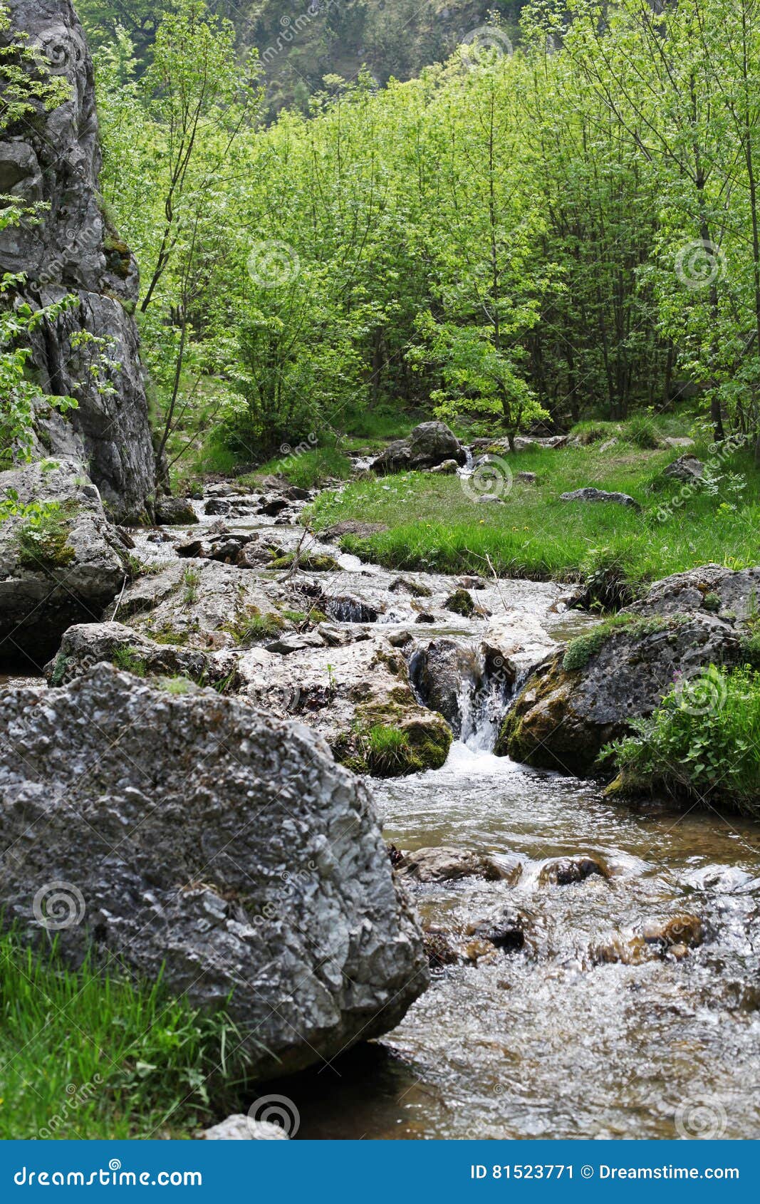 River, Rocks and Spring in Cerna Mountains, Romania Stock Image - Image ...