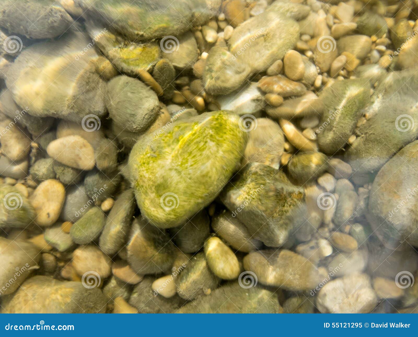 River Rocks stock image. Image of submerged, river, pure - 55121295