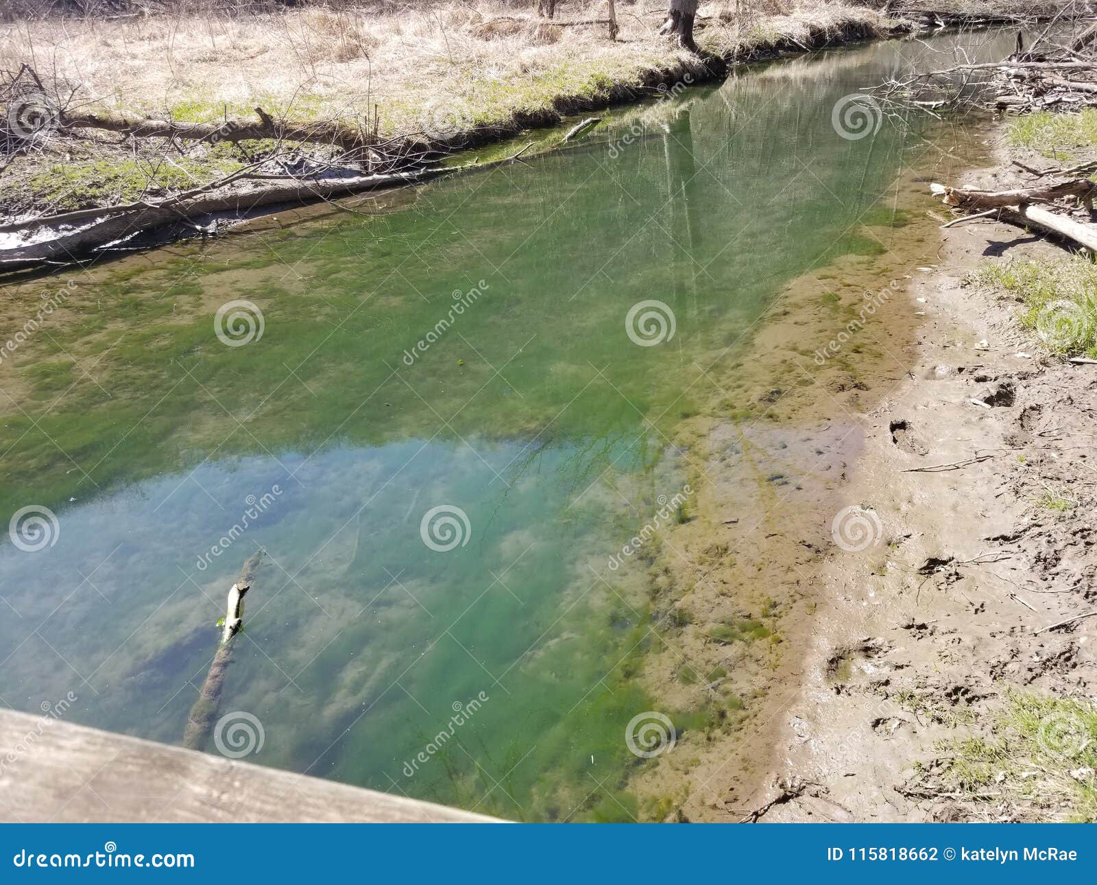 Whitewater stock photo. Image of sunny, river, whitewater - 115818662