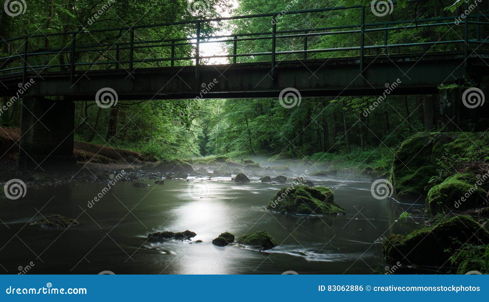River With Rocks Under Bridge Surrounded By Green Leaf Trees During ...