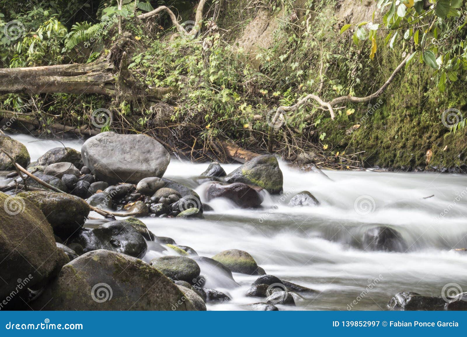 River with rocks stock image. Image of forest, calm - 139852997