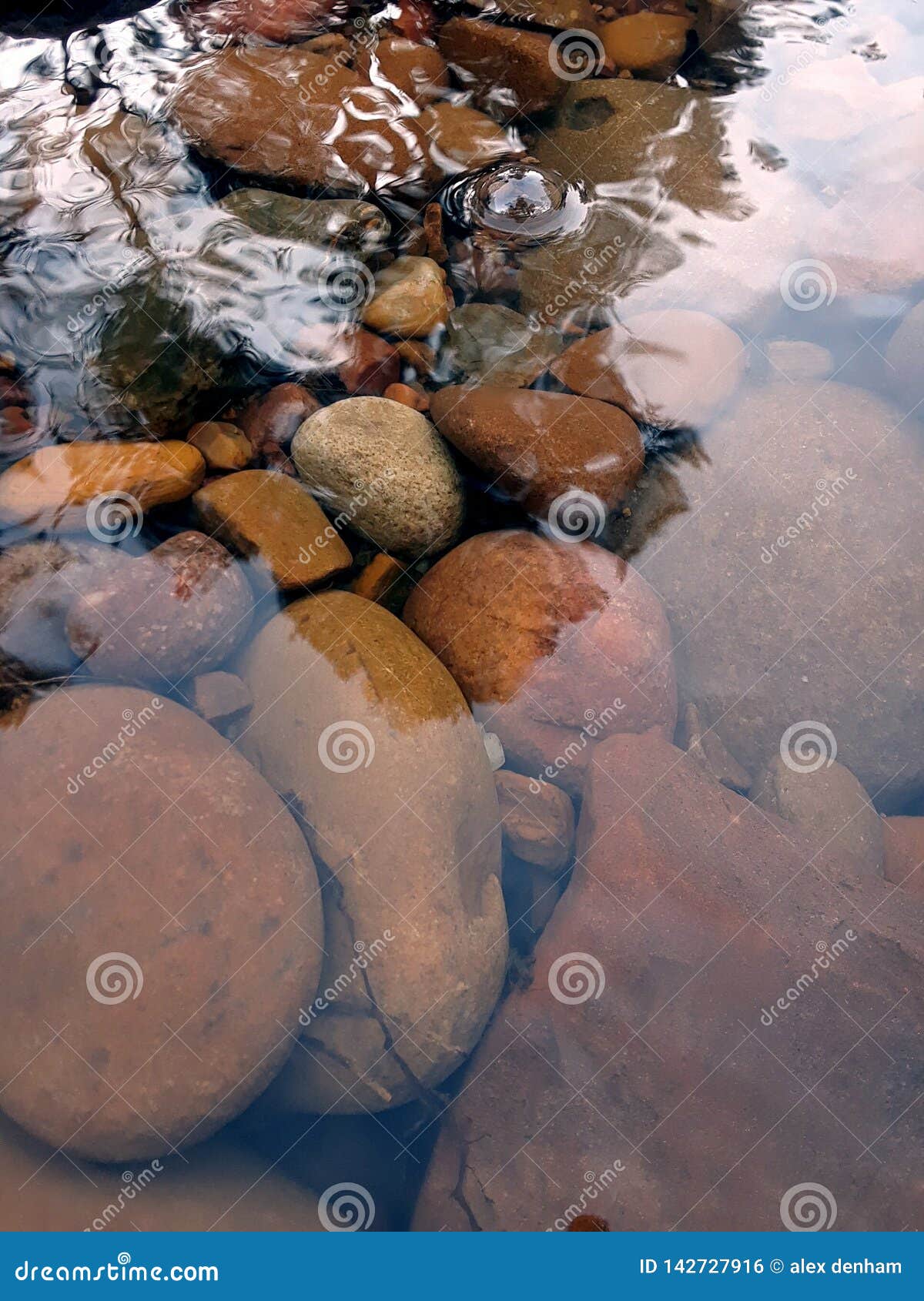 River rocks stock photo. Image of clearwater, outside - 142727916