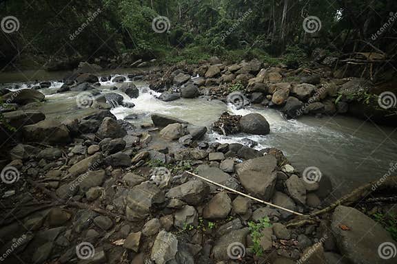 The River is Rocky and the Water is Murky Stock Photo - Image of ...