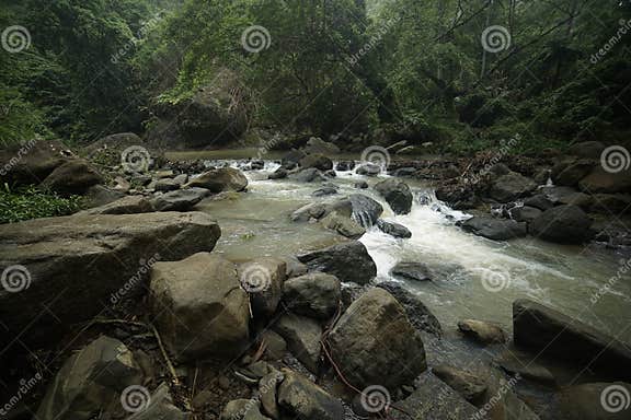 The River is Rocky and the Water is Murky Stock Image - Image of murky ...