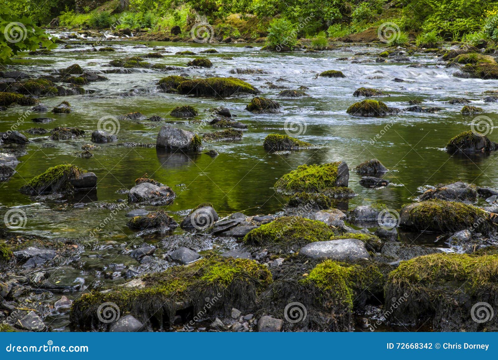 River Rothay in Ambleside stock photo. Image of england - 72668342