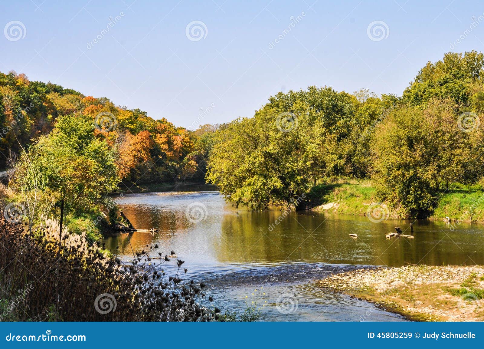 River Run stock image. Image of trees, swimming, beauty - 45805259