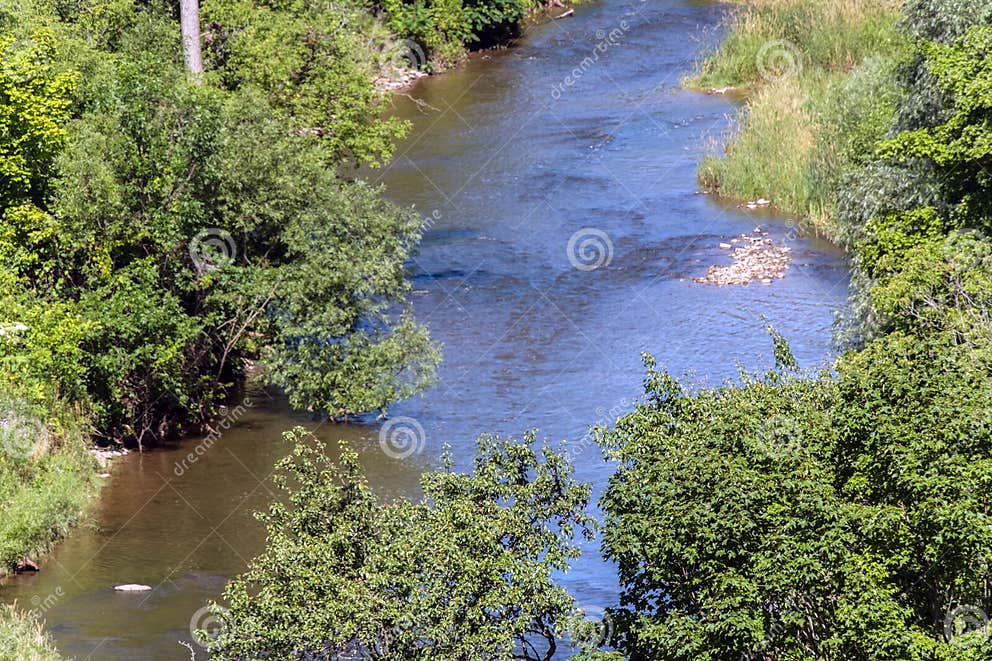 River stock image. Image of park, river, nature, green - 324611887