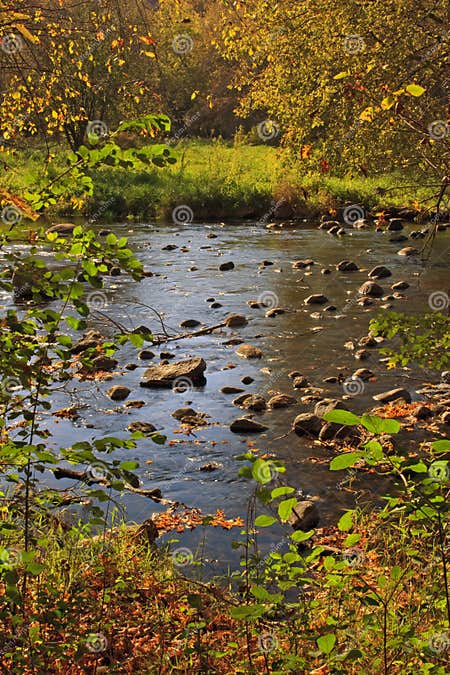 River Running through the Autumn Forest Stock Photo - Image of trees ...