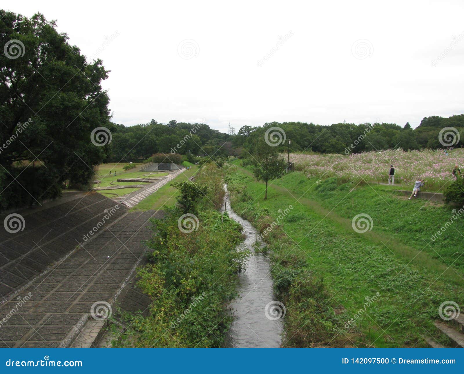 River Running through Beautiful Park in Japan Stock Photo - Image of ...