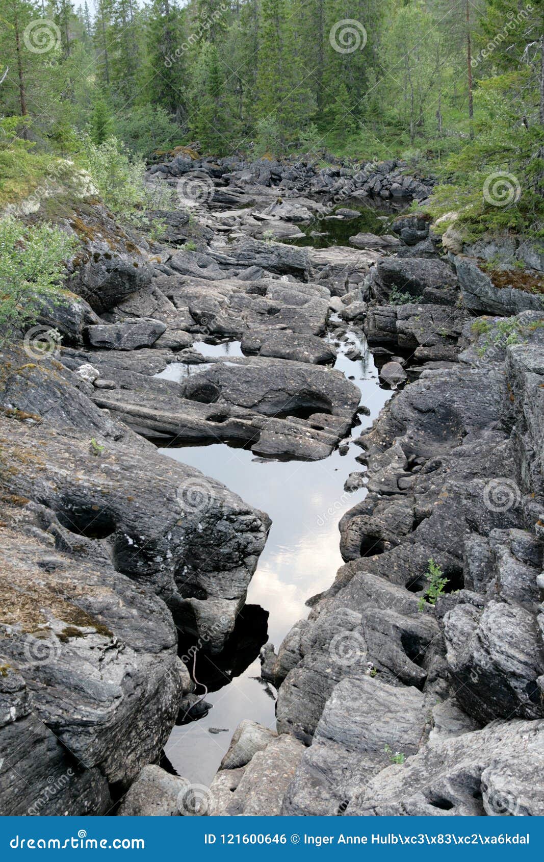 River running dry stock photo. Image of save, ecology - 121600646