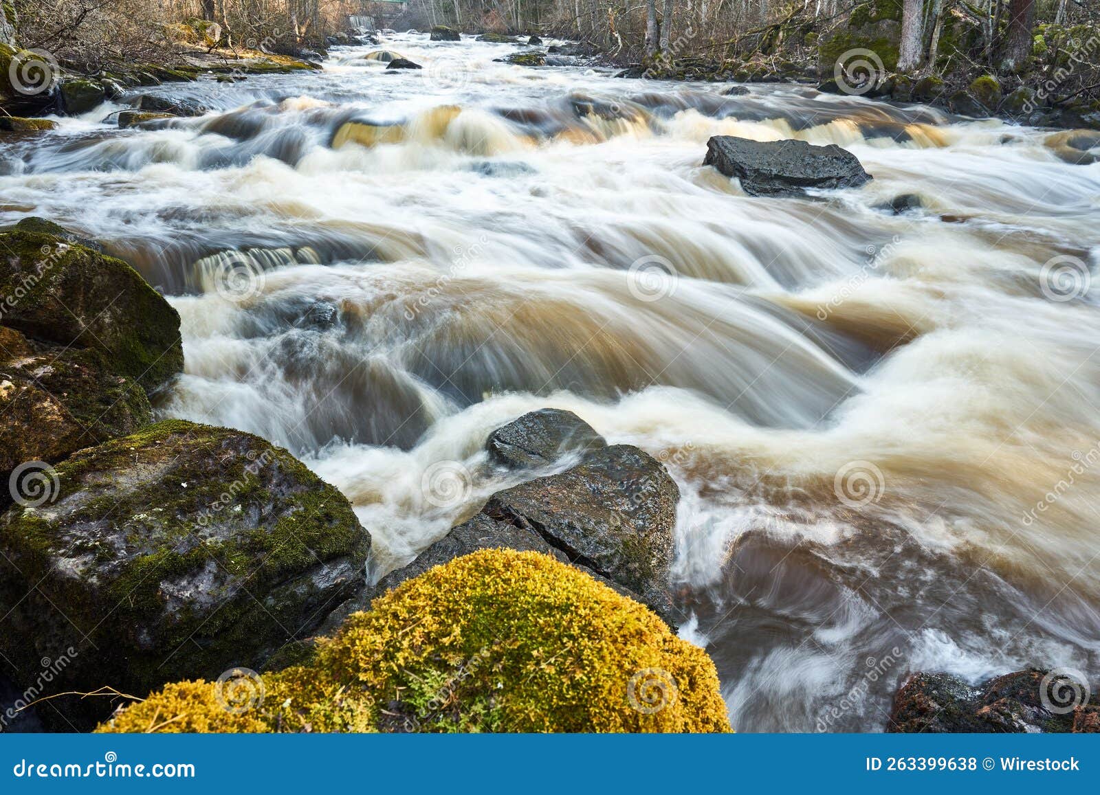 River Running through the Forest Stock Photo - Image of environment ...